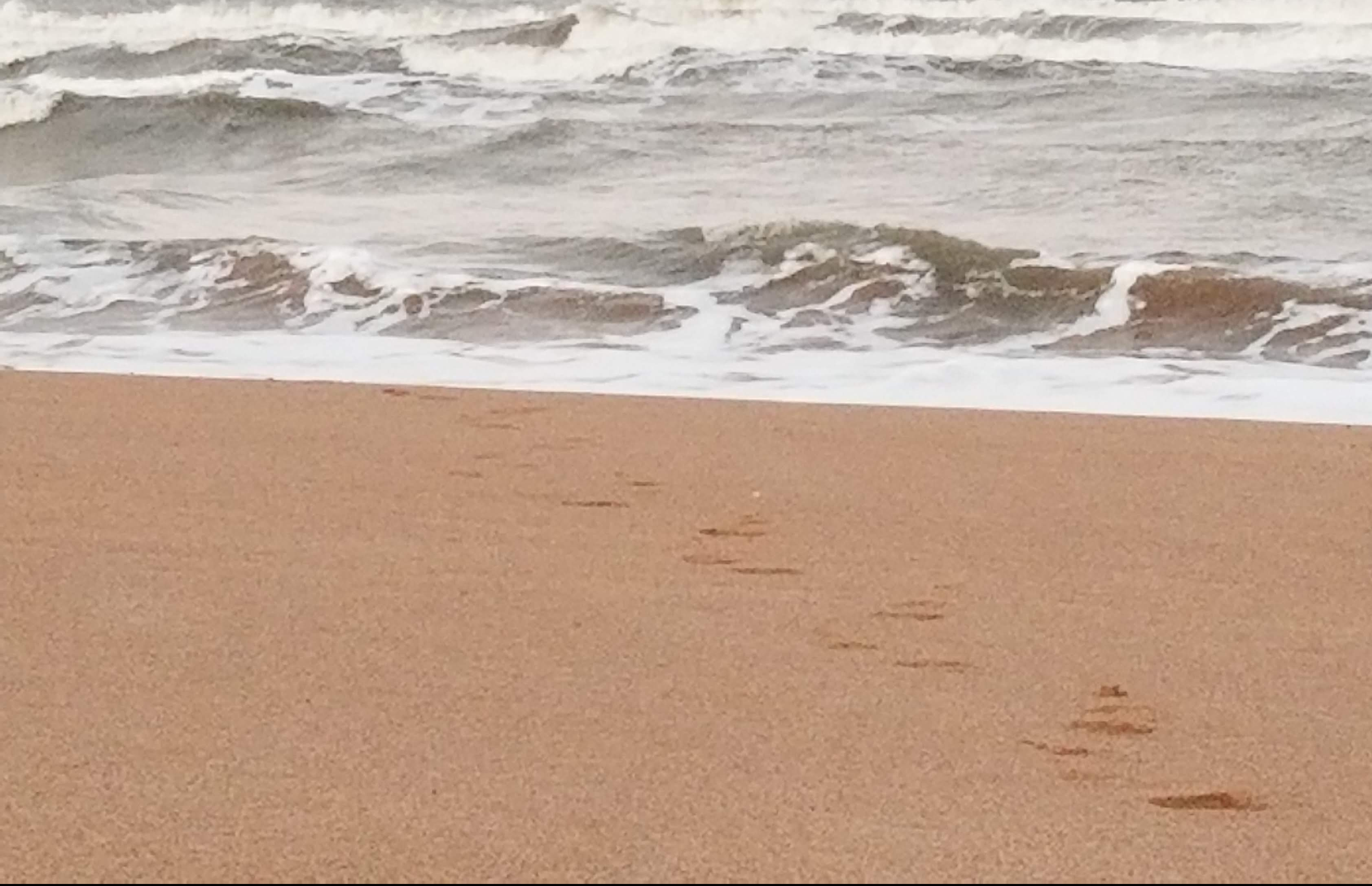 A Review of “The Courage to Teach” by Parker J. Palmer – Human-Centered Learning